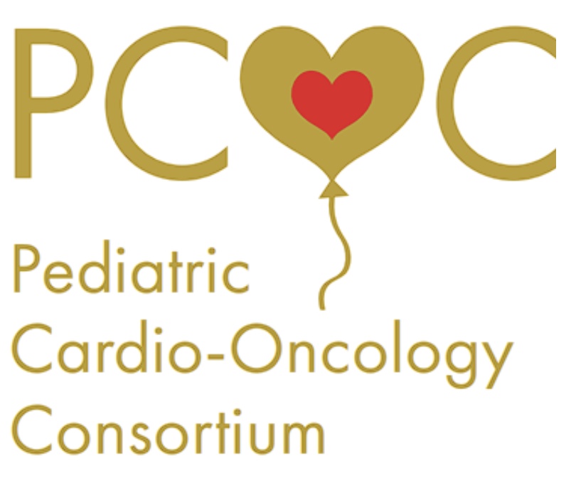 Pediatric Cardio-Oncology Consortium | International Cardio-Oncology ...